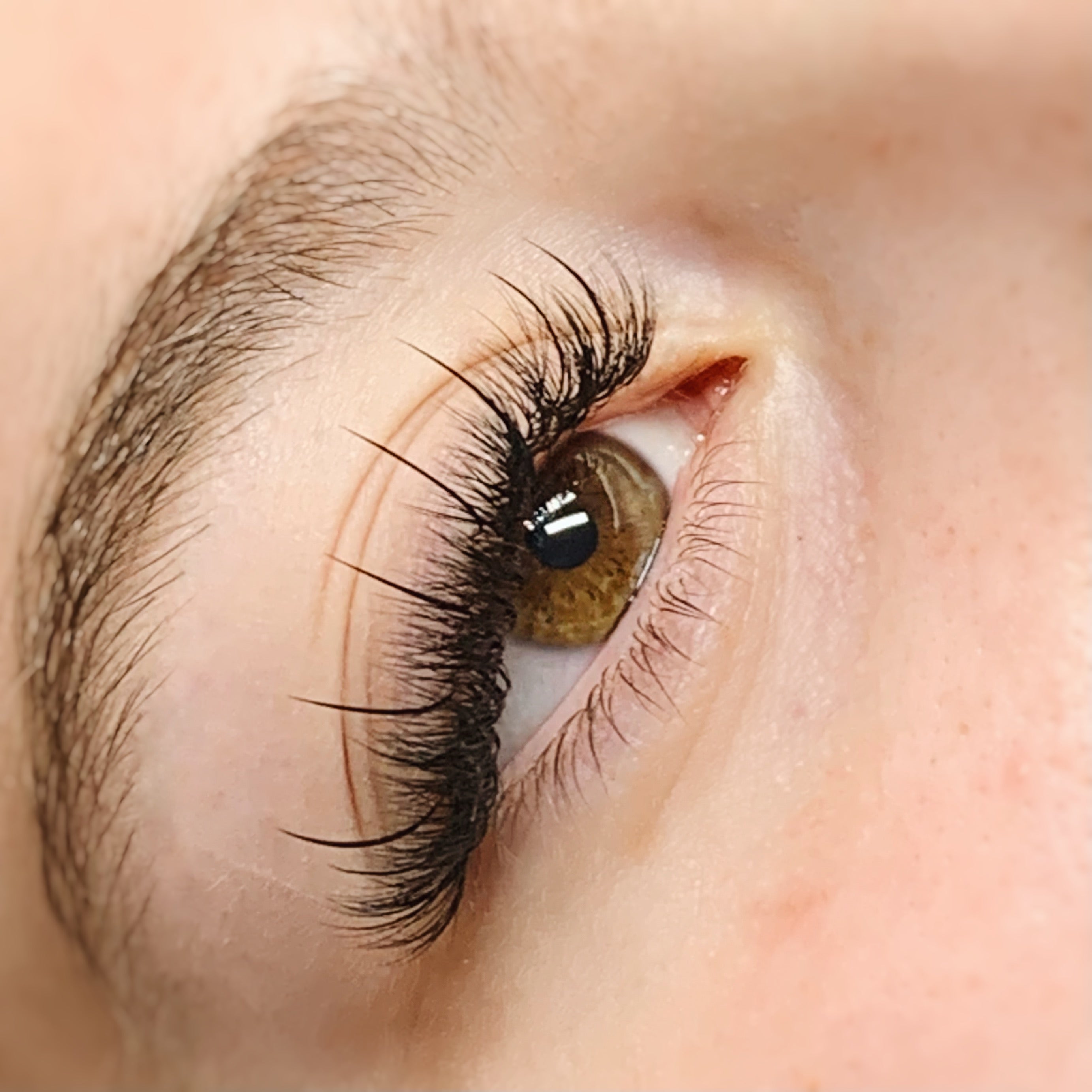 Premium Eyelash Extension Supplies – Lashin Out Shop
